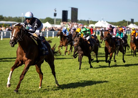 Ward's Bacio Overwhelms Rivals in Ascot Handicap - BloodHorse