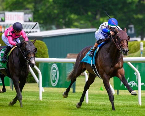 West End Kid Manhandles Pennine Ridge Competition - BloodHorse