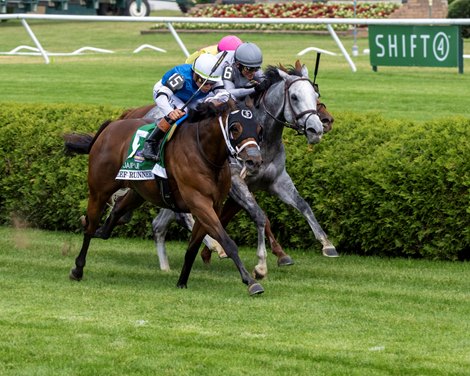 Reef Runner Surges to Win Spa's Jaipur - BloodHorse